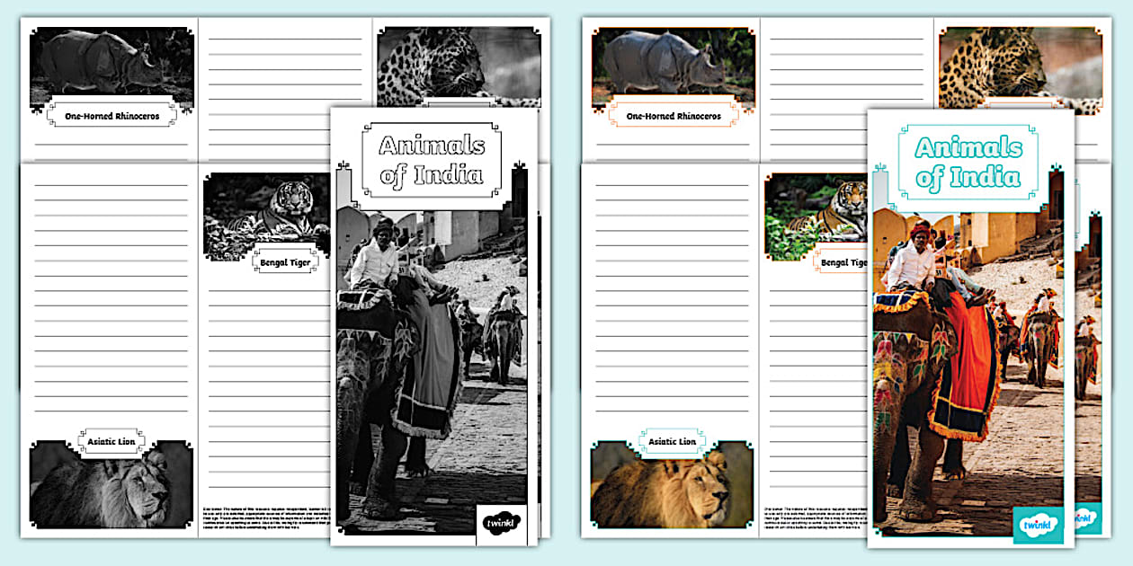 Animals of India Leaflet Template (teacher made) - Twinkl
