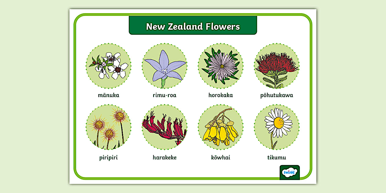 New Zealand Flowers Word Mat (teacher made) - Twinkl