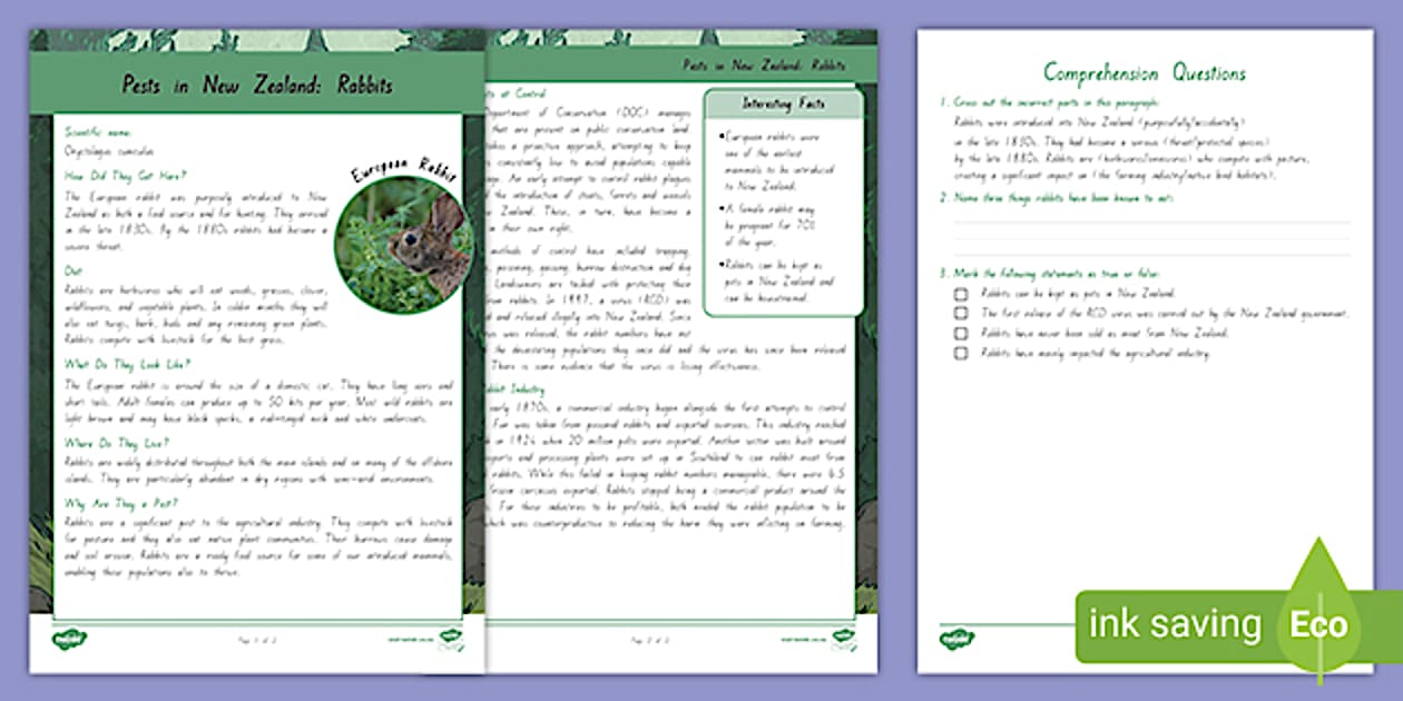 Pests in New Zealand: Rabbits Fact File (Teacher-Made)