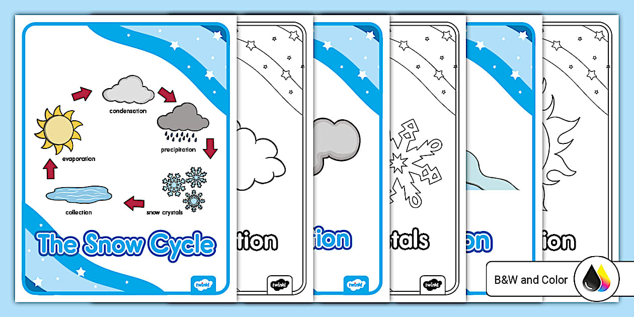 The Snow Cycle Posters (teacher made) - Twinkl