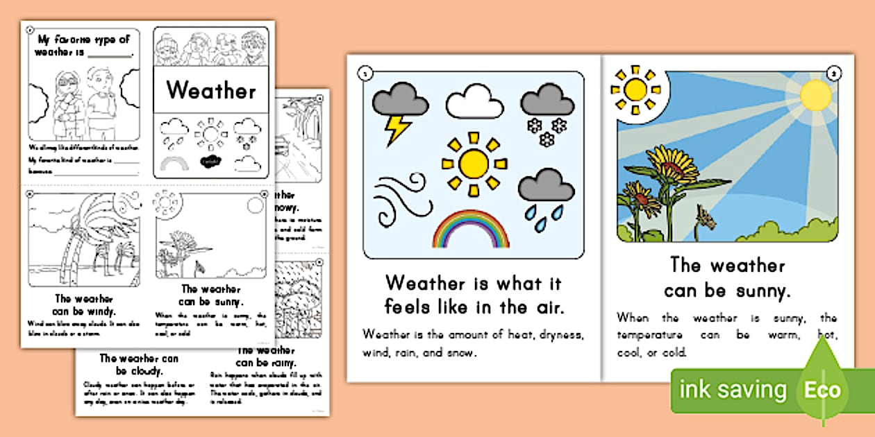 Augmentative and Alternative Communication: Weather Shared Reader