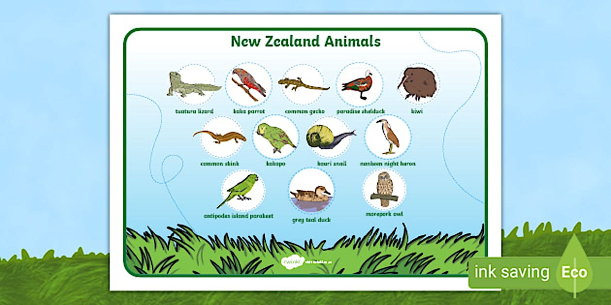 Cursive New Zealand Animals Word Mat (teacher made) - Twinkl