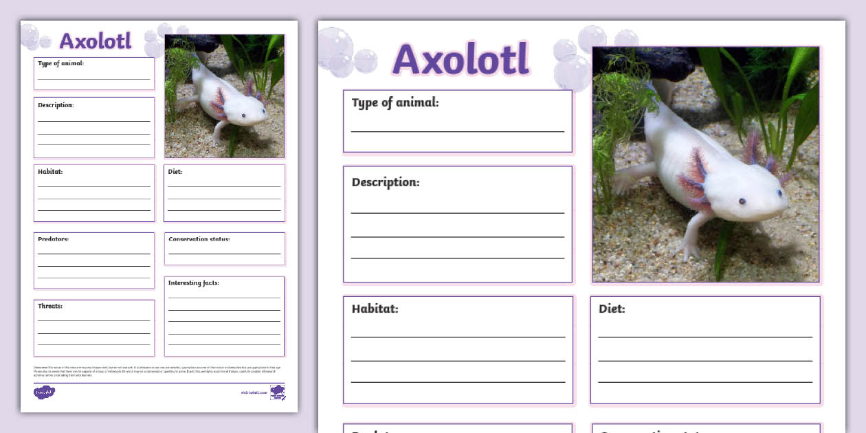Axolotl Fact File Template, Axolotyl (teacher made) - Twinkl