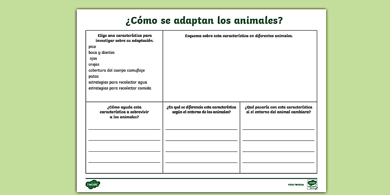 Ficha de actividad: ¿Cómo se adaptan los animales?