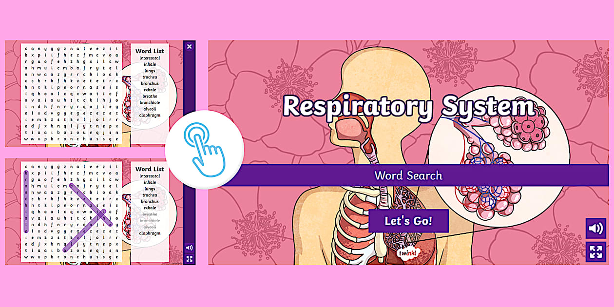 Teacher-made Respiratory System Word Search - KS2 - Twinkl