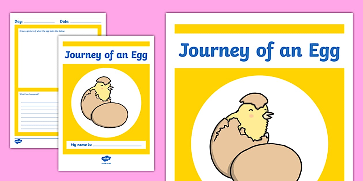 Editable Chick Hatching Observation Booklet - Twinkl