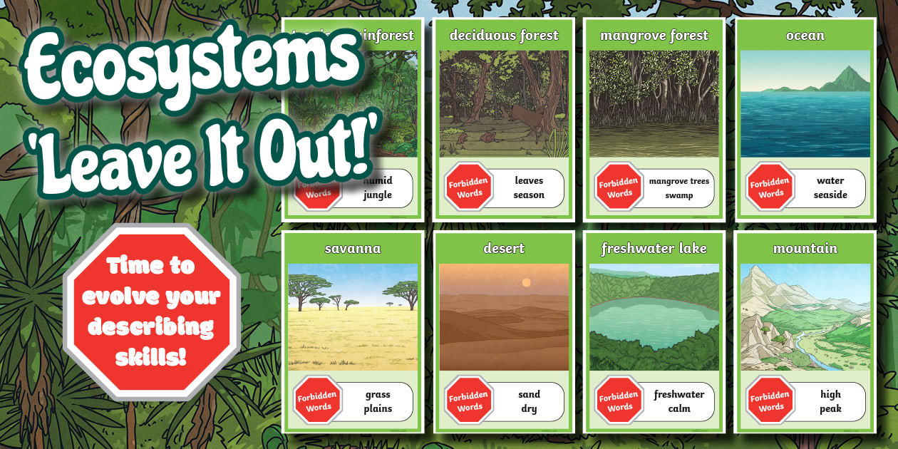 Ecosystems 'Leave It Out!' Game Cards