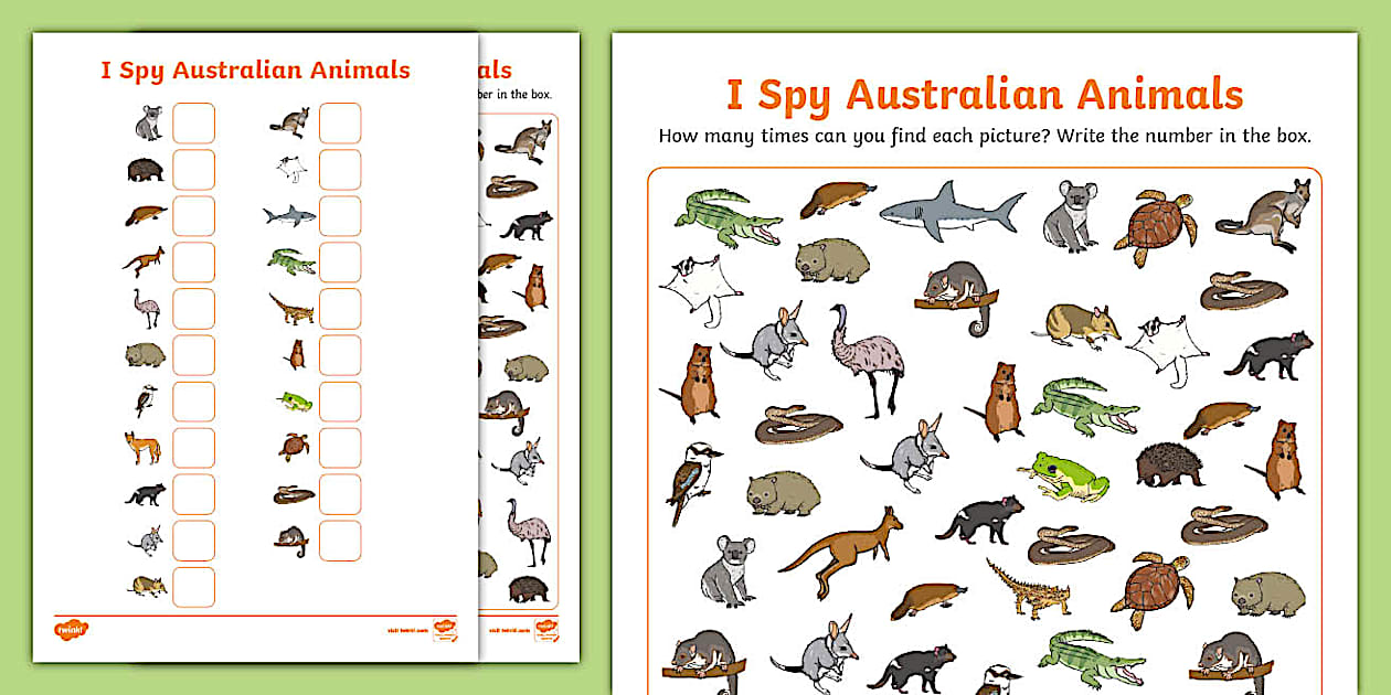 I Spy Australian Animals Worksheet (teacher made) - Twinkl