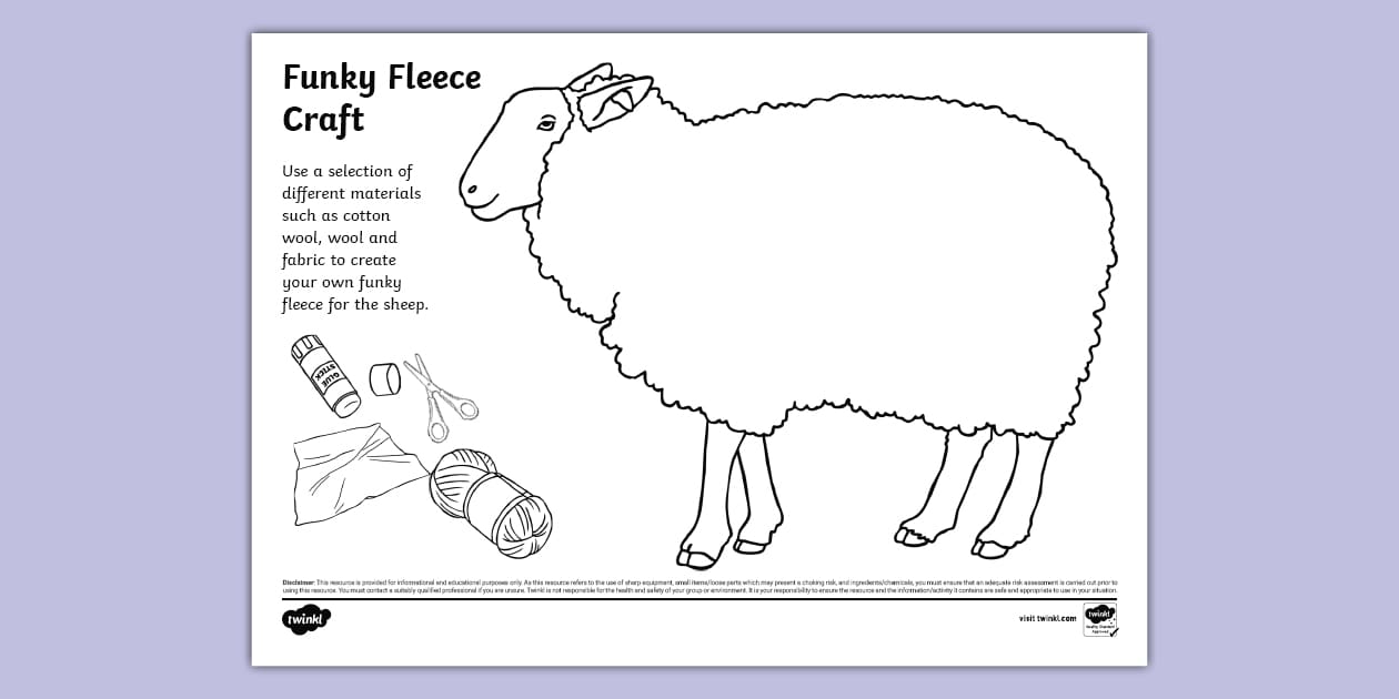 Design Your Own Funky Fleece Craft Activity (teacher made)