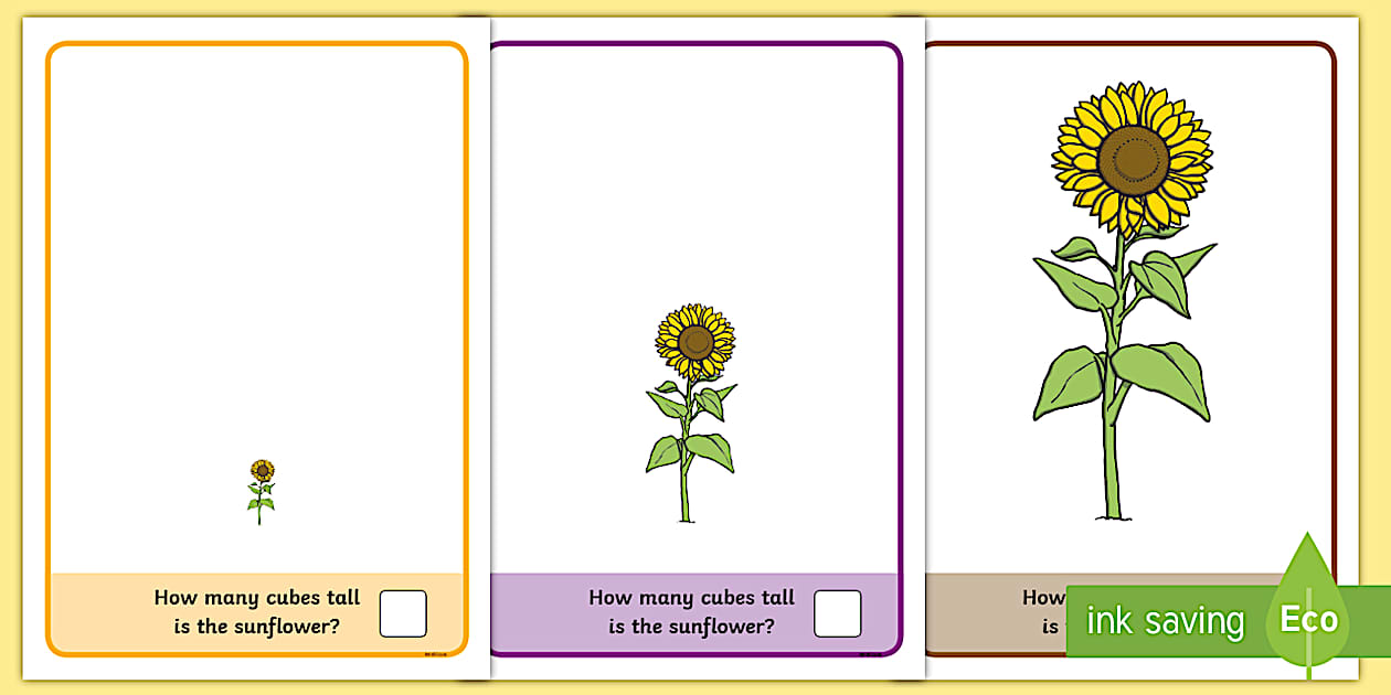 Sunflower Measuring with Cubes Activity Mat - Twinkl