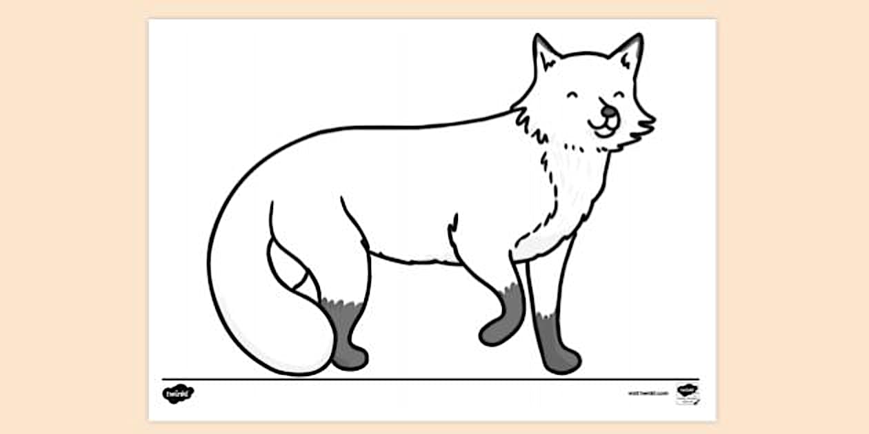 Fox Colouring Page for Children | Colouring Sheets - Twinkl
