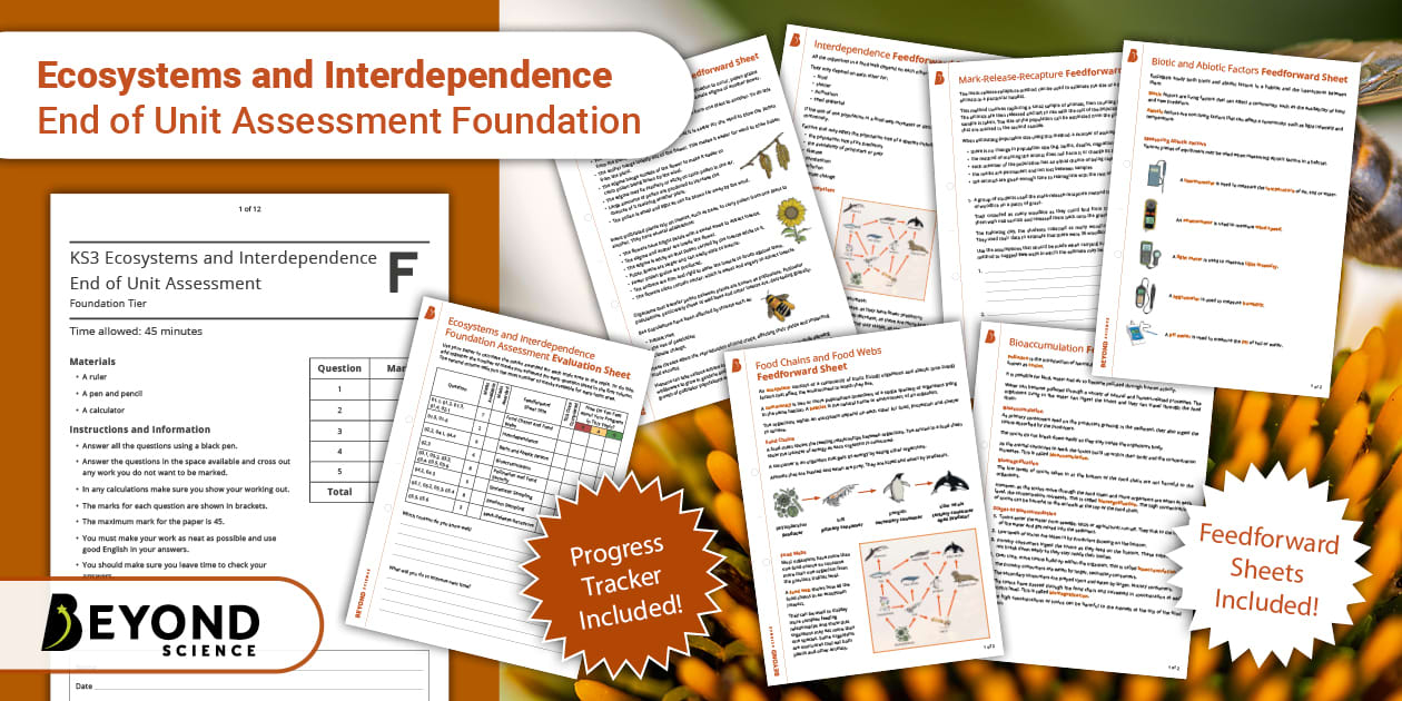 Ecosystems and Interdependence Foundation Exam | Beyond