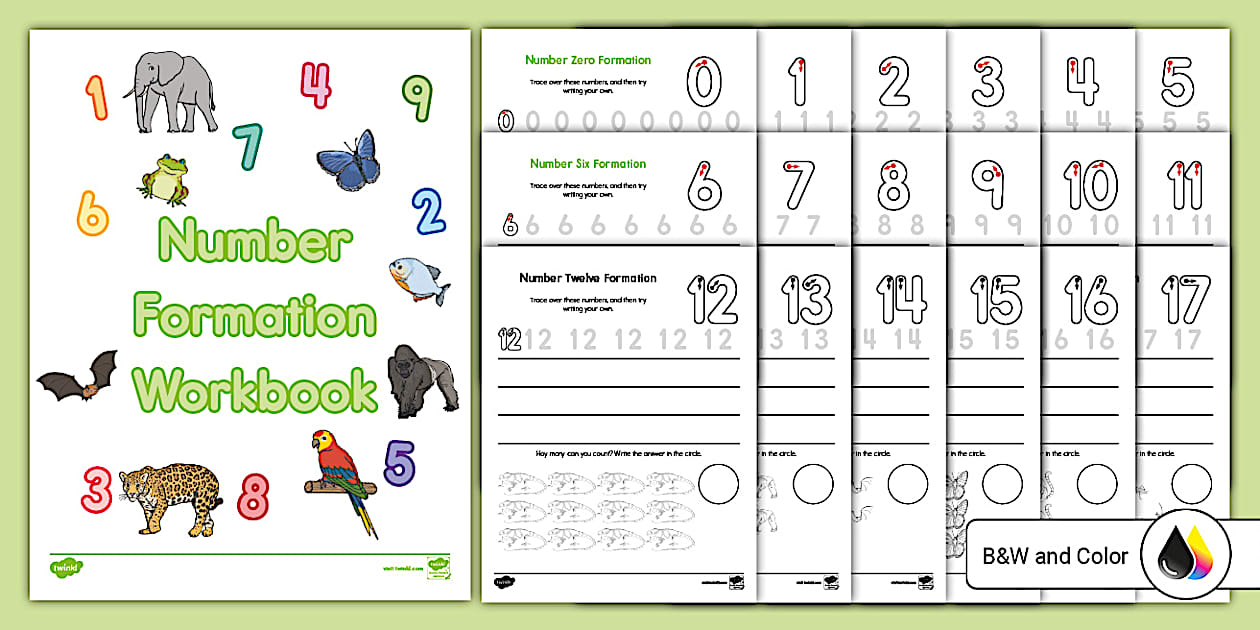 Jungle and Rainforest Number Formation Activity Booklet