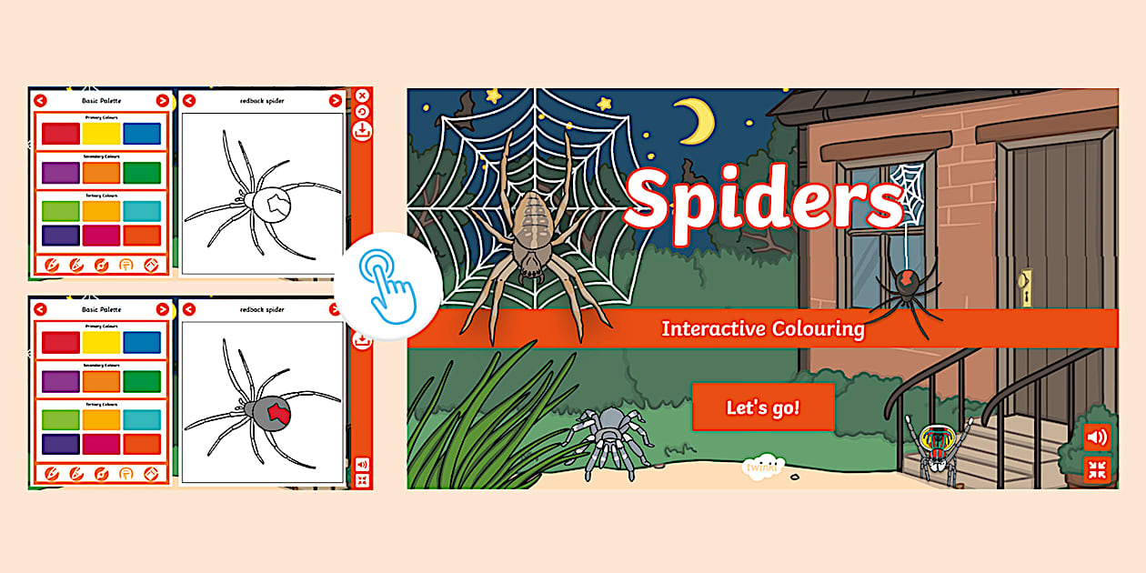 Spiders Interactive Colouring (teacher made) - Twinkl