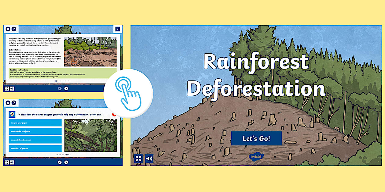 Rainforest Deforestation Reading Comprehension | Twinkl Go!