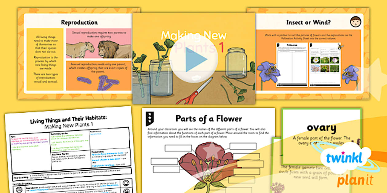 Science: Living Things and Their Habitat: Making New Plants 1 Year 5 Lesson