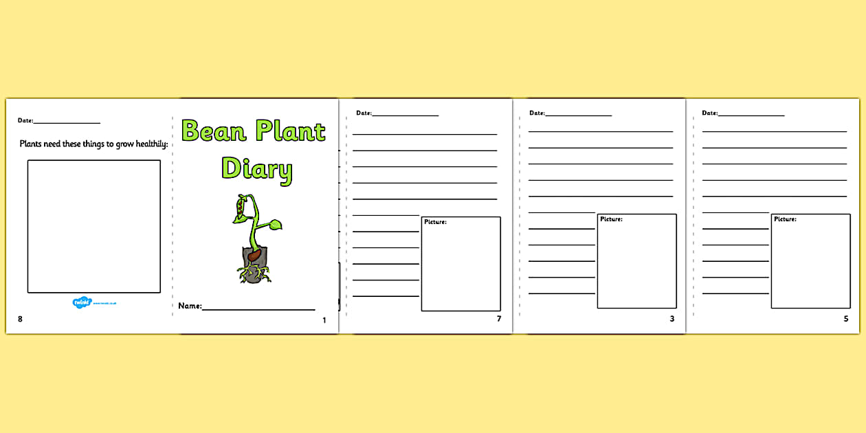 Bean Plant Diary Writing Frames (teacher made) - Twinkl