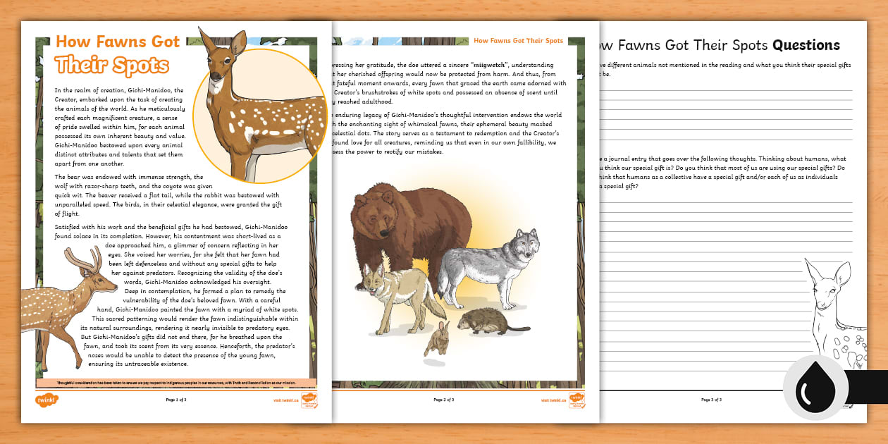How Fawns Got Their Spots Reading Comprehension - Twinkl