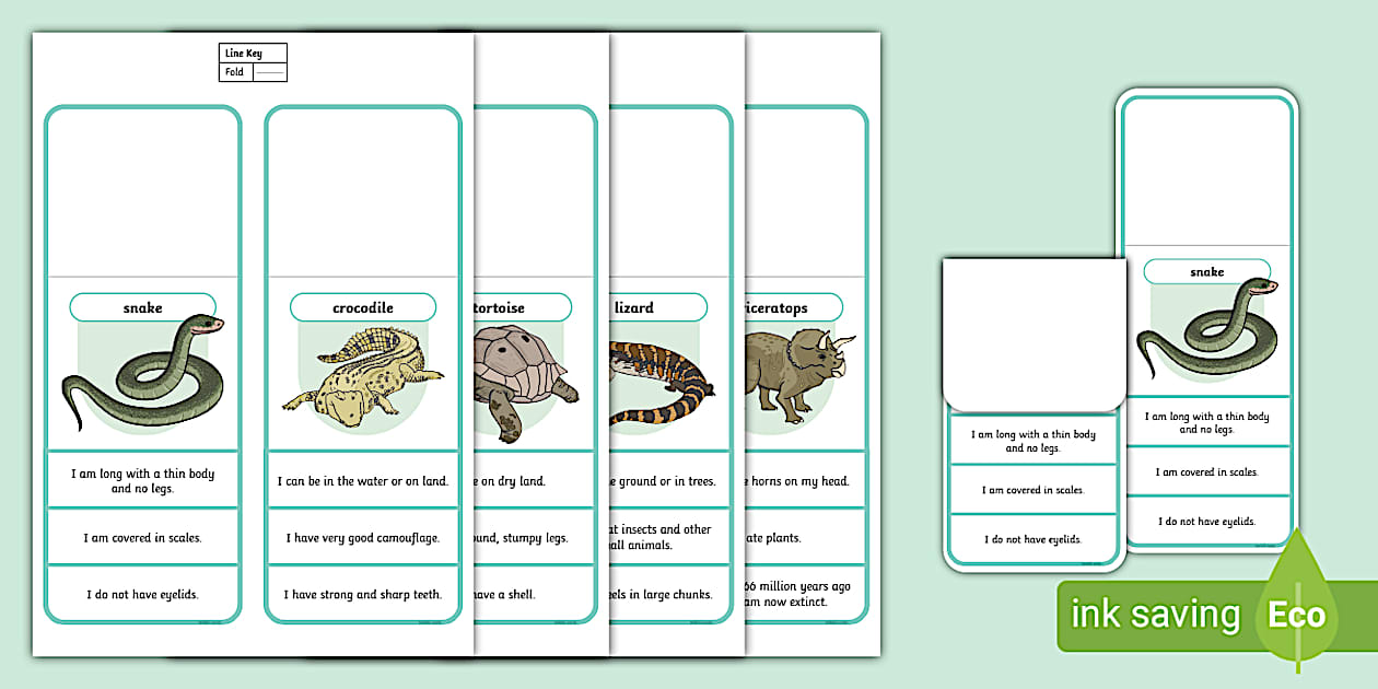 What Am I? Guess the Reptile Game (teacher made) - Twinkl