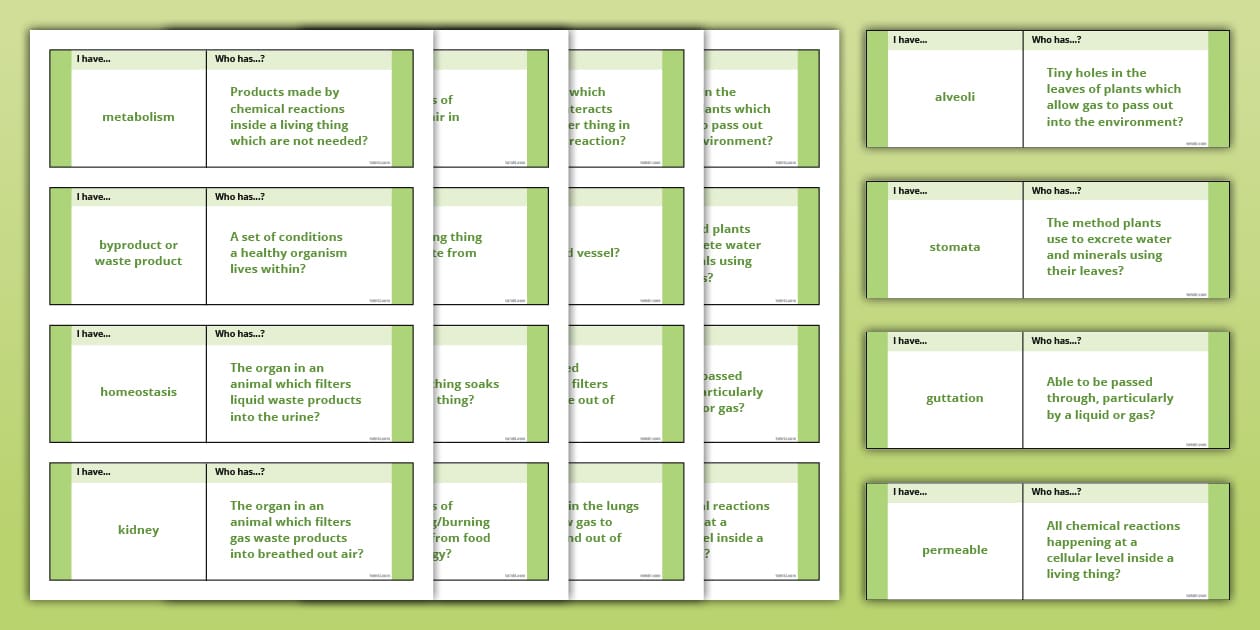 Year 5-8 Life Processes: Excretion Loop Cards