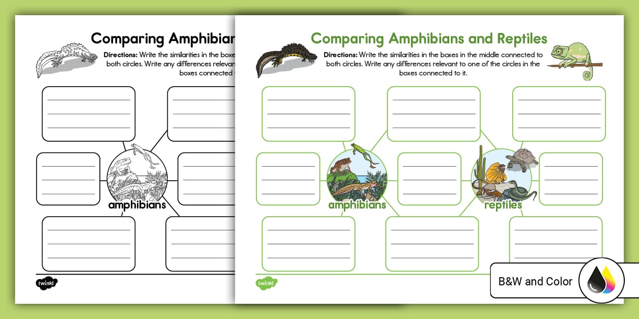 Comparing Amphibians and Reptiles Mind Map for K-2nd Grade