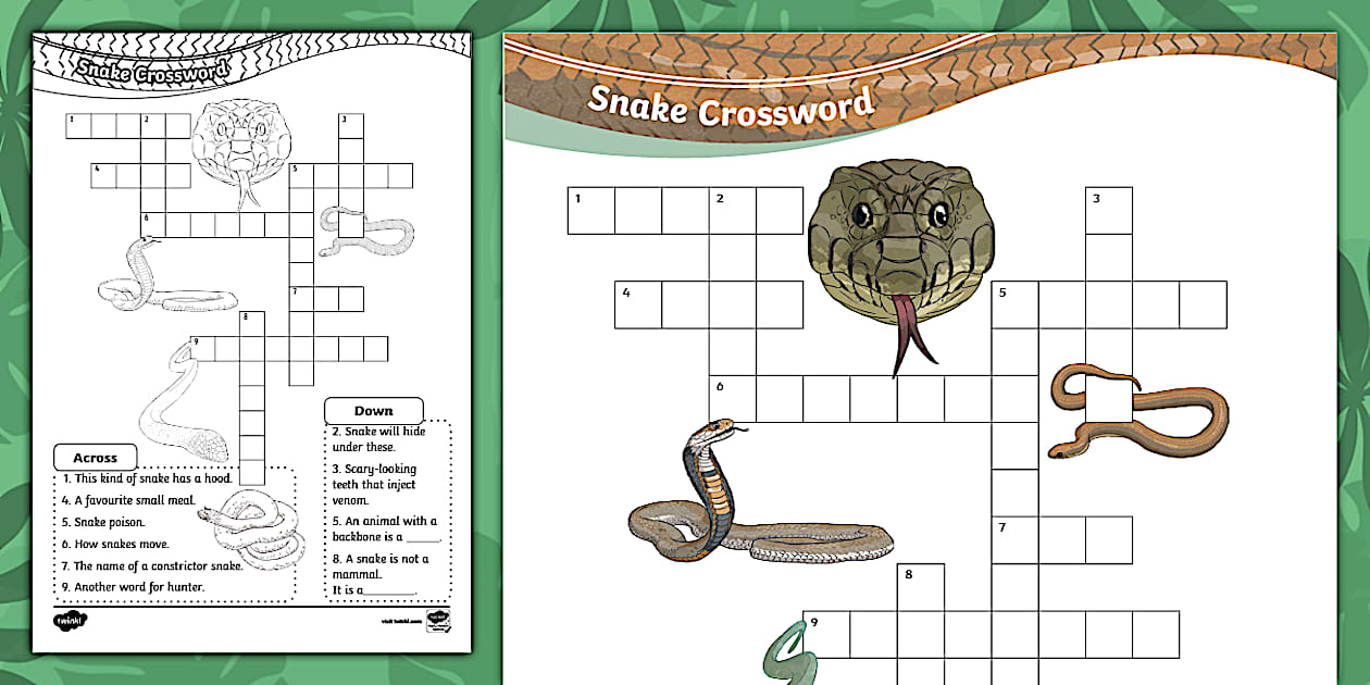 Snake Crossword Puzzle (teacher made) - Twinkl