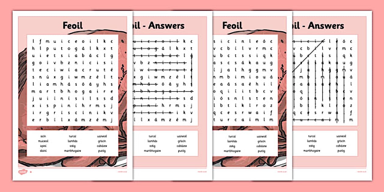Bia Word Search Feoil (teacher made) - Twinkl