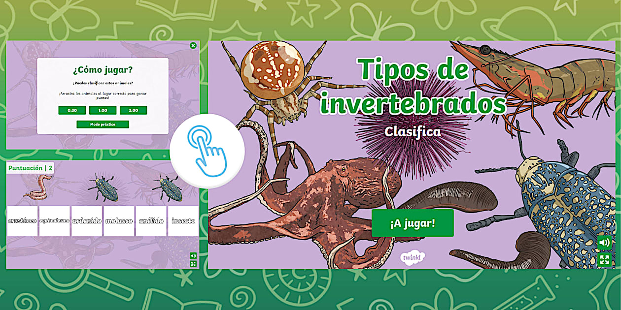 Juego interactivo: Invertebrados - Twinkl Go (teacher made)