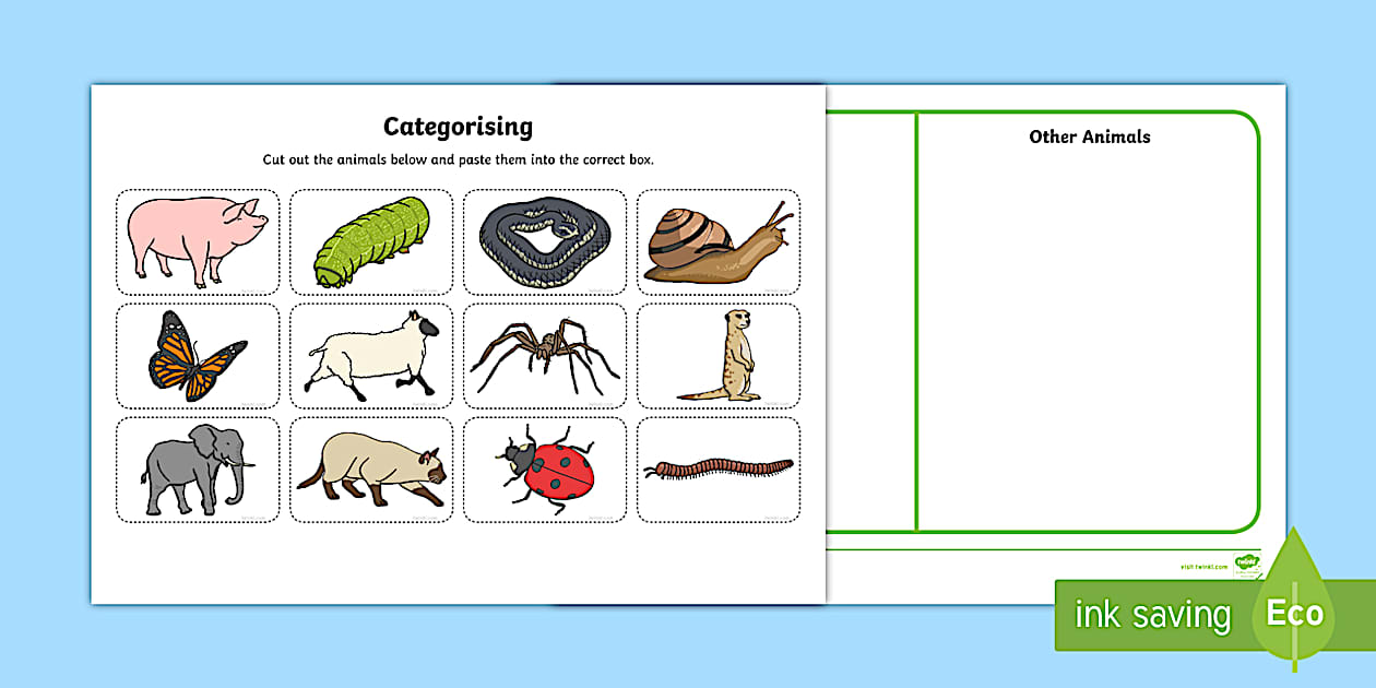 Black and White Minibeast and Other Animals Sorting Activity