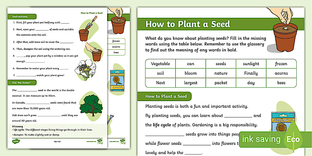 Planting a Seed Cloze Activity (Teacher-Made) - Twinkl