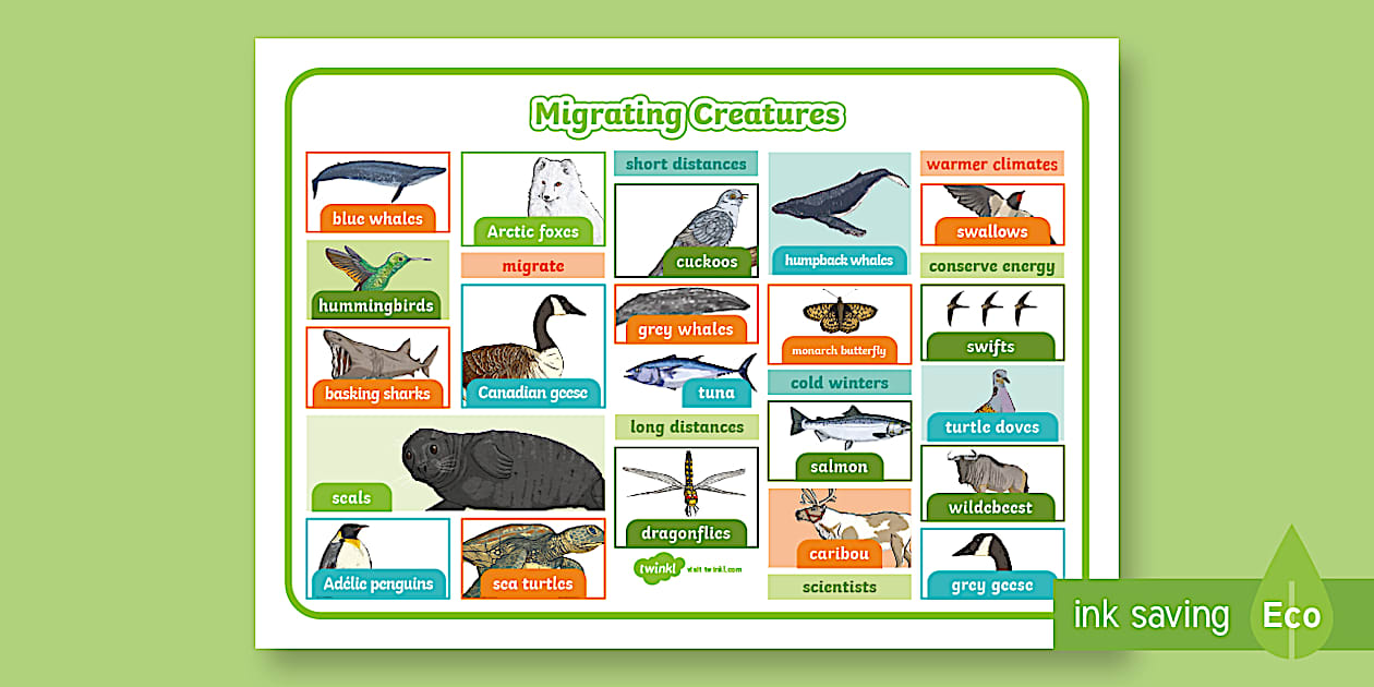 Migrating Creatures Word Mat (Teacher-Made) - Twinkl