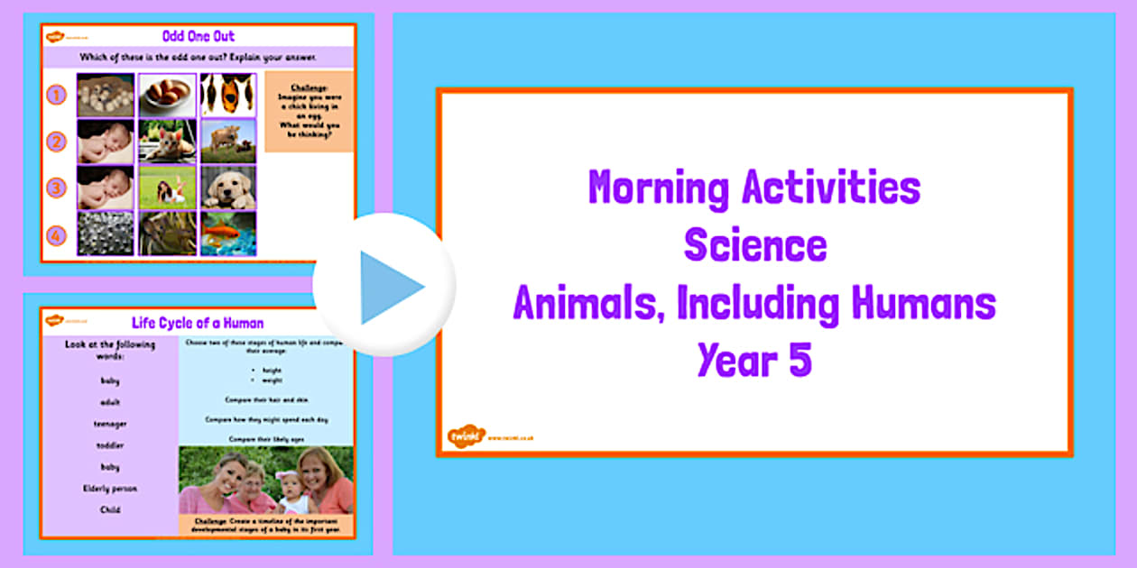 Year 5 Early Morning Science Activities Animals - Twinkl