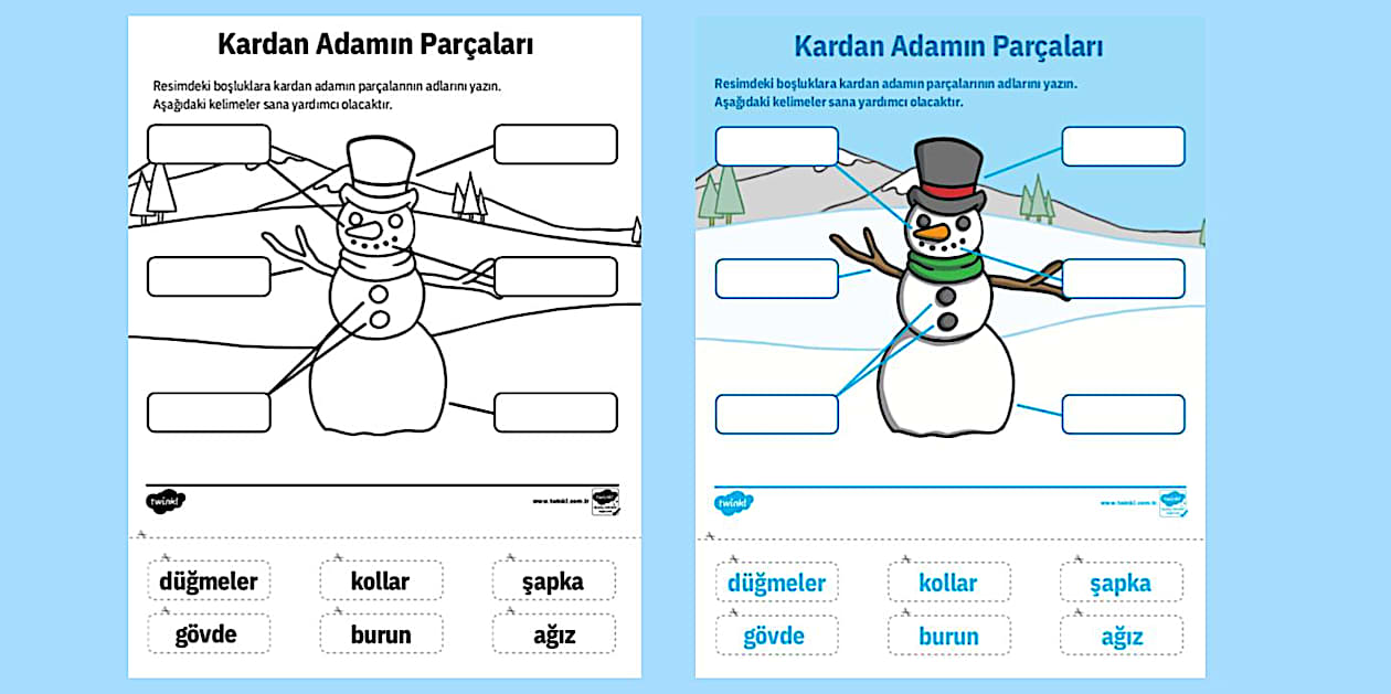 Kardan Adamın Parçaları (Hecho por educadores) - Twinkl