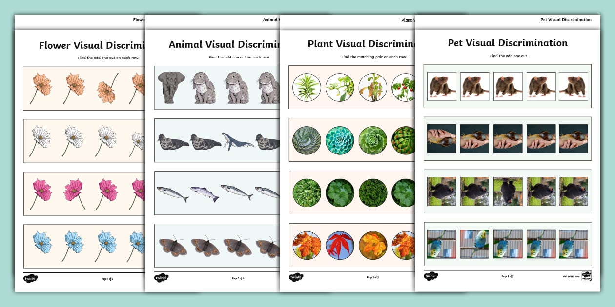SEND Visual Discrimination Activity Pack - Twinkl