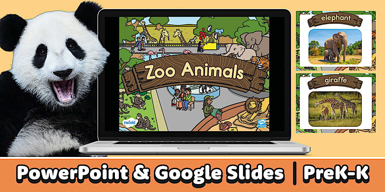 Zoo Animals Word and Photos PowerPoint & Google Slides