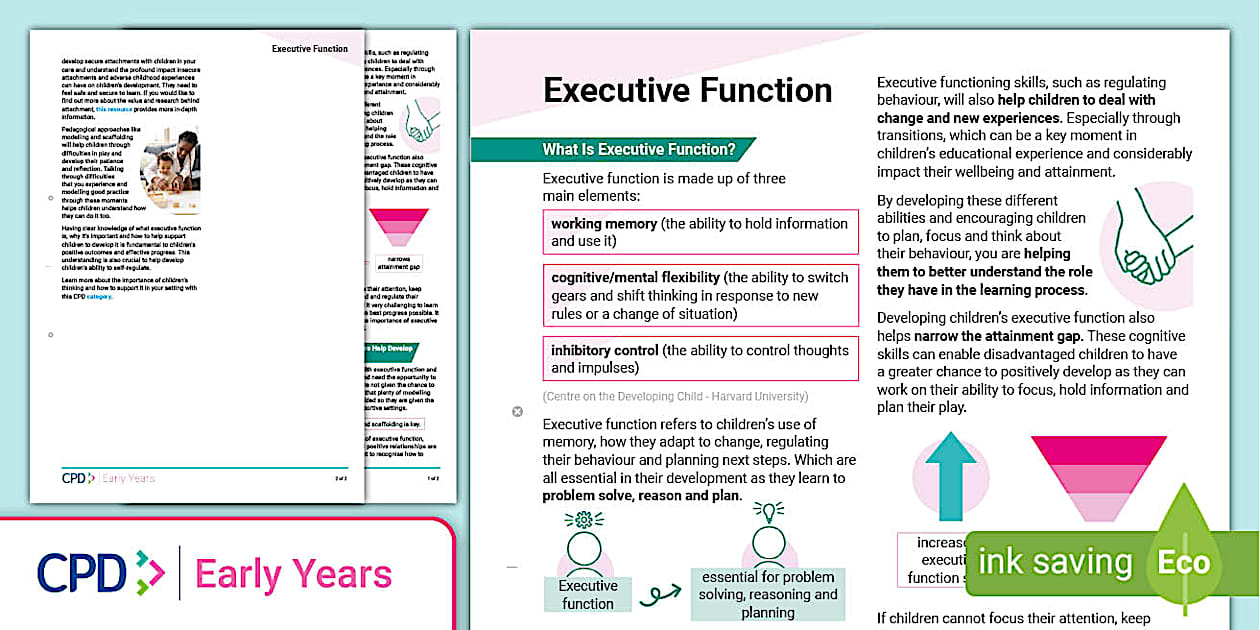 Executive Function EYFS Practitioner Support | CPD | Twinkl
