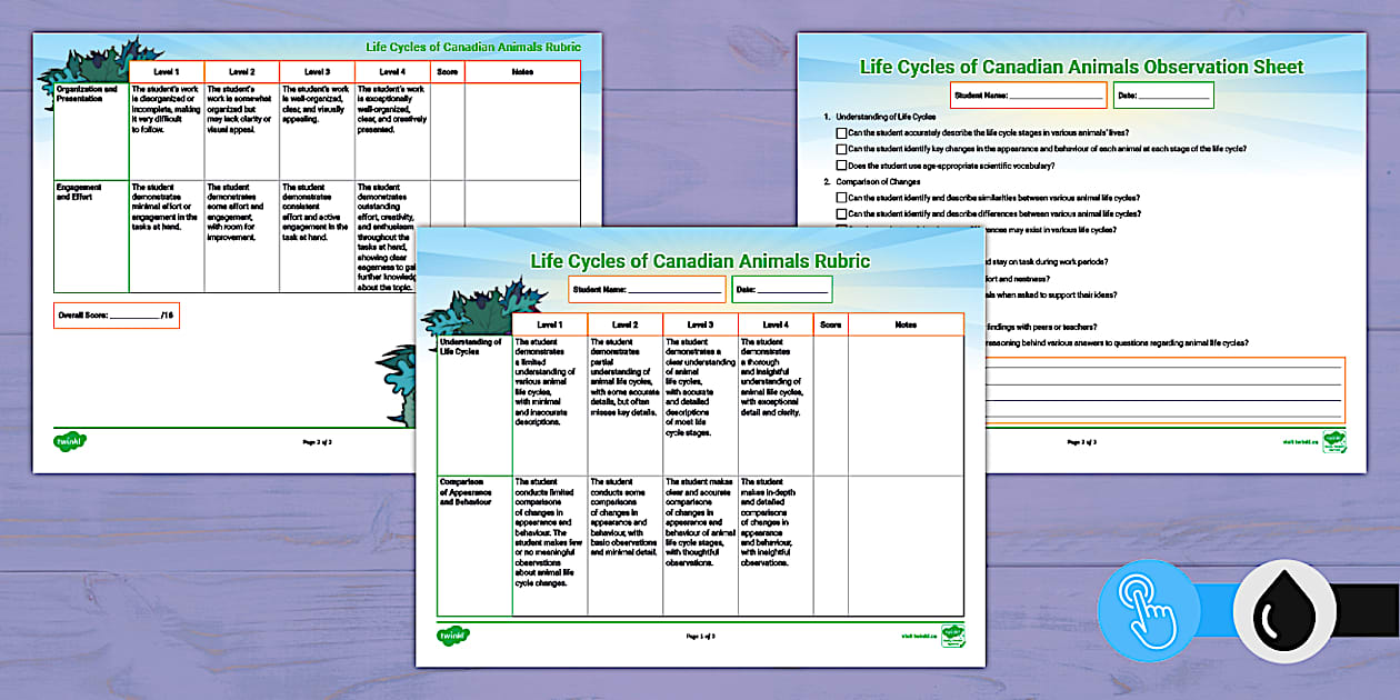 Life Cycles of Canadian Animals Rubric and Observation Sheet