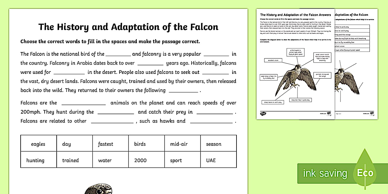 Editable The Falcon Worksheet (teacher made) - Twinkl