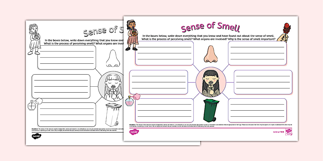 Sense of Smell Mind Map Template - Twinkl Japan - Twinkl