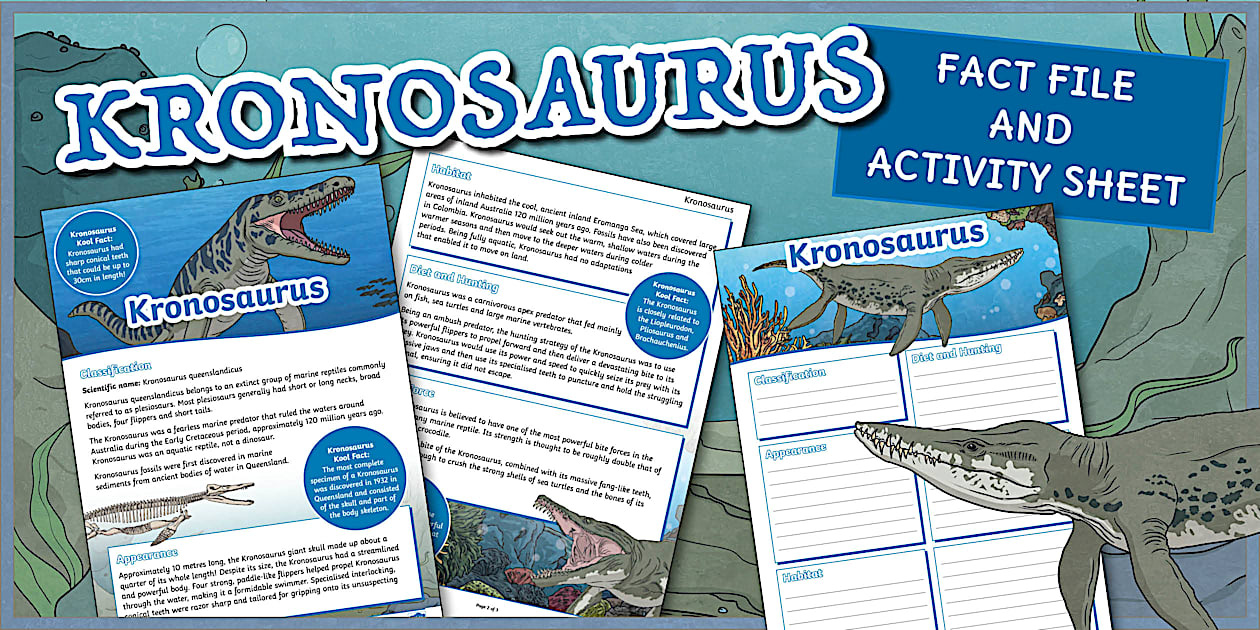 Kronosaurus Fact File and Activity Sheet