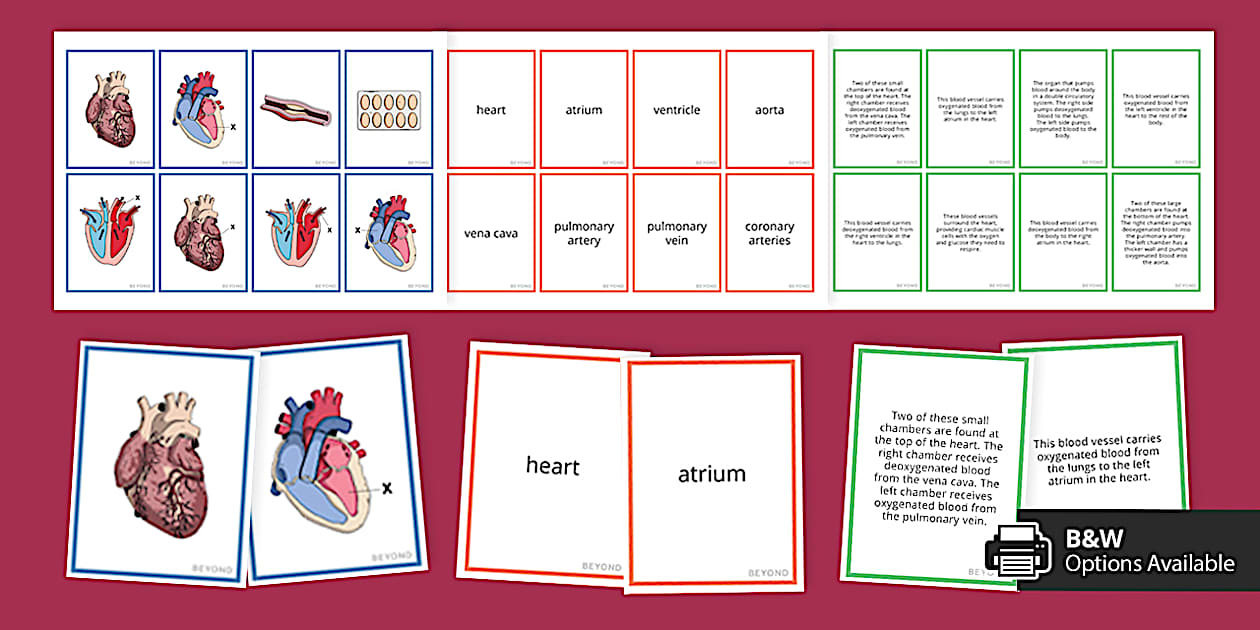 The Heart Card Sort (teacher made) - Twinkl