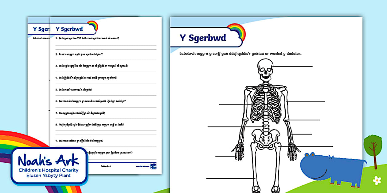 FREE! - Y Sgerbwd: Taflenni Gweithgaredd - Twinkl