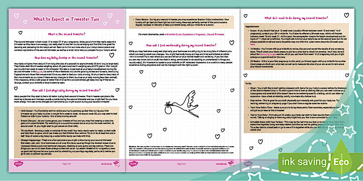 What to Expect in Trimester Two (teacher made) - Twinkl