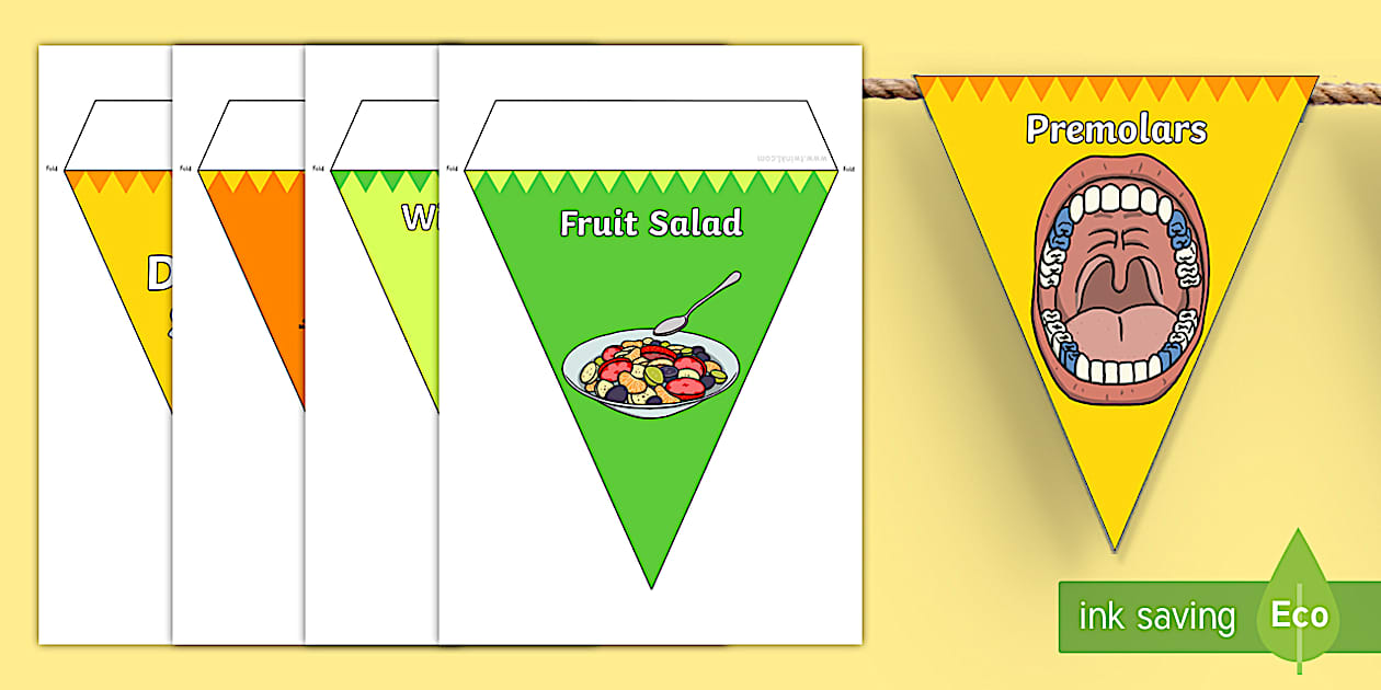 The Digestive System Display Bunting - Twinkl