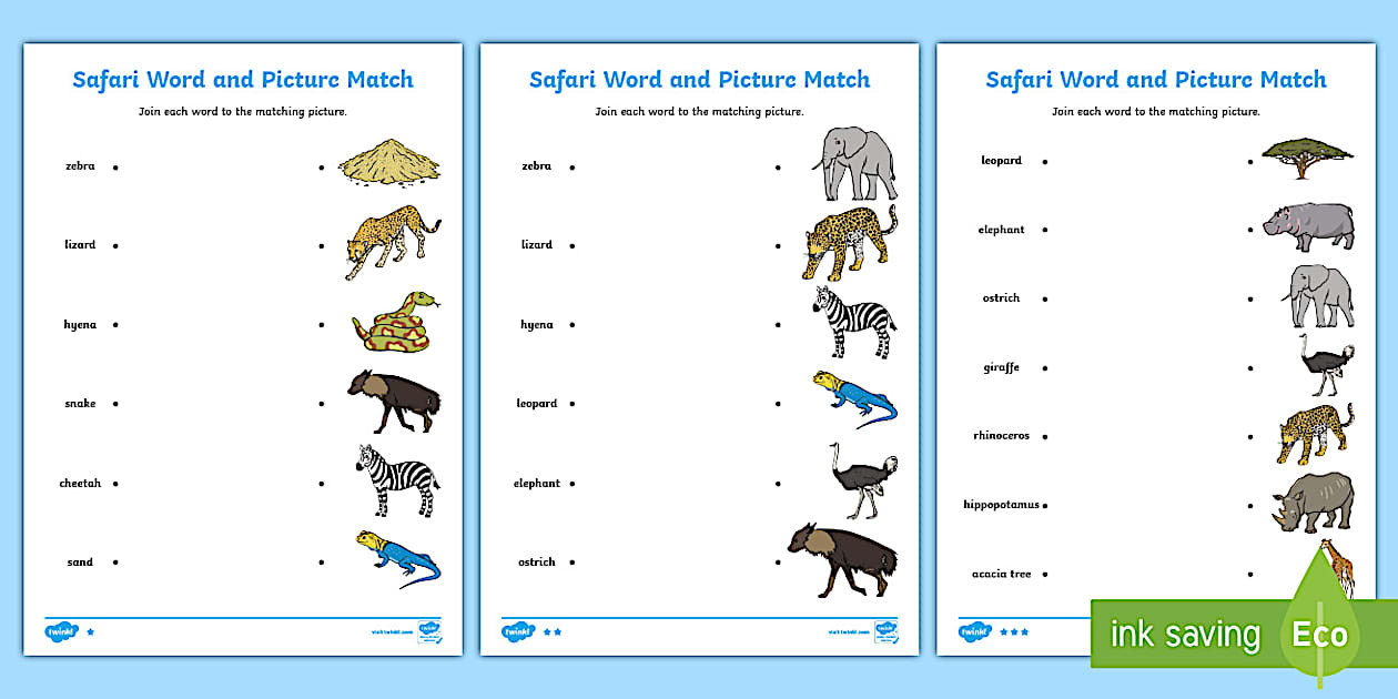Safari Word and Picture Matching Sheets- jungle, animals