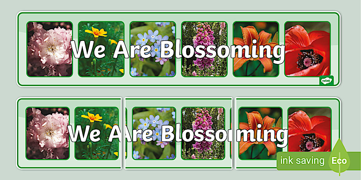 We Are Blossoming Display Banner (teacher made) - Twinkl