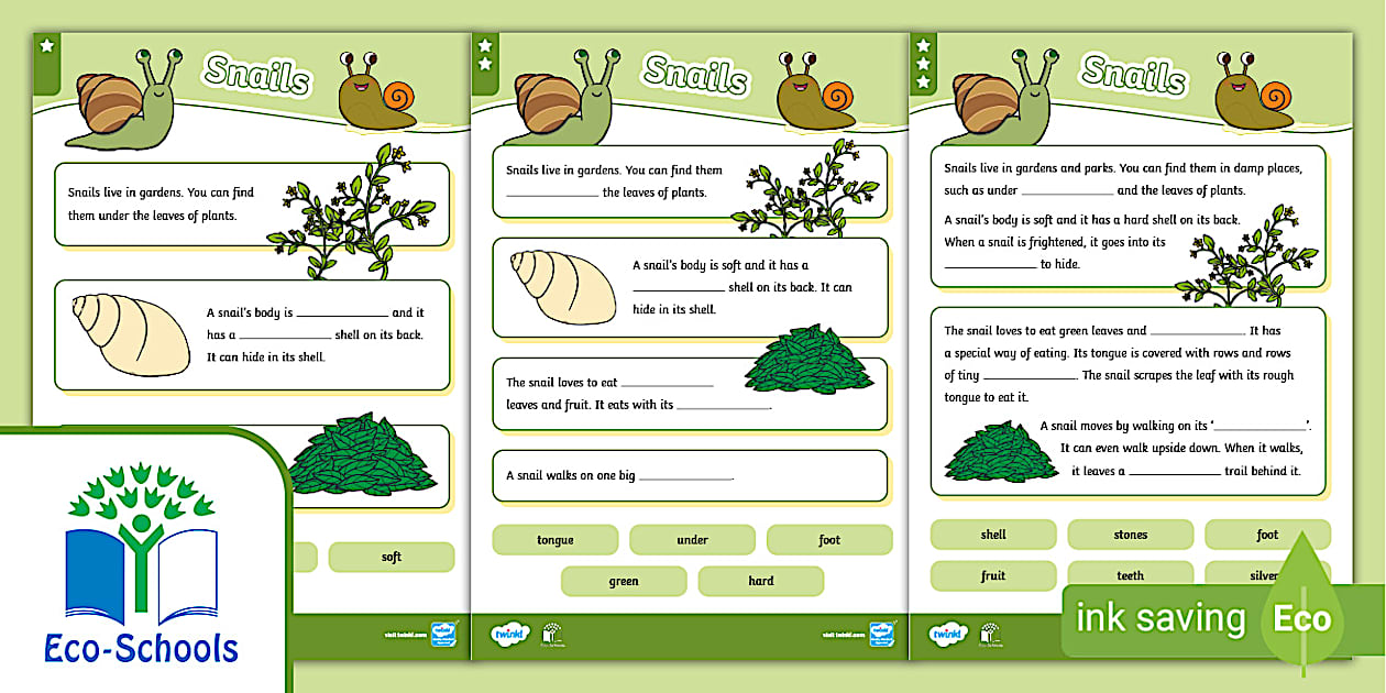 Snails, Mini beasts and biodiversity... (teacher made)