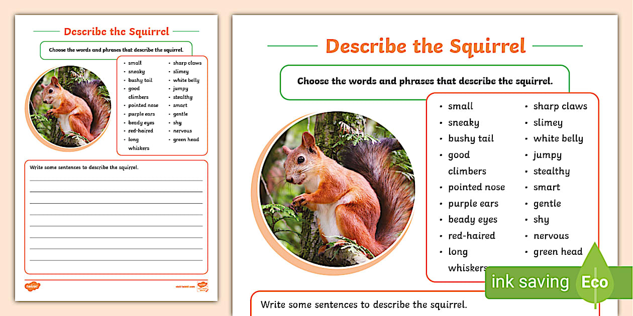 Describe the Squirrel,squirrel (teacher made) - Twinkl