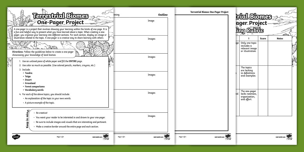 Terrestrial Biomes One-Pager Project for 6th-8th Grade