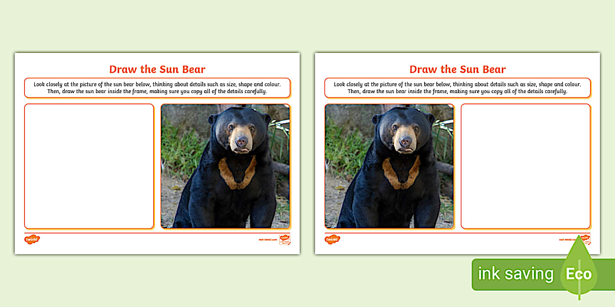 Draw the Sun Bear Worksheet